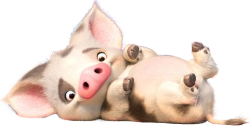 Pua (Vaiana: Skarb oceanu) | Disney Wiki | FANDOM powered by Wikia