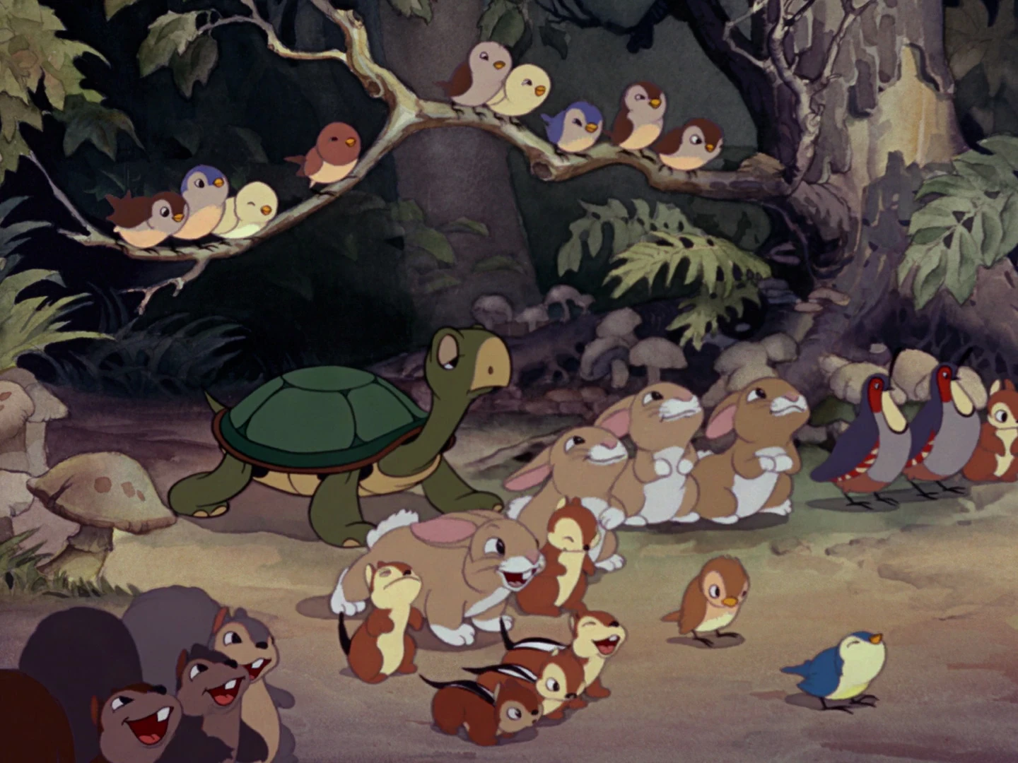 Animali della foresta (Biancaneve) | Disney Wiki | Fandom