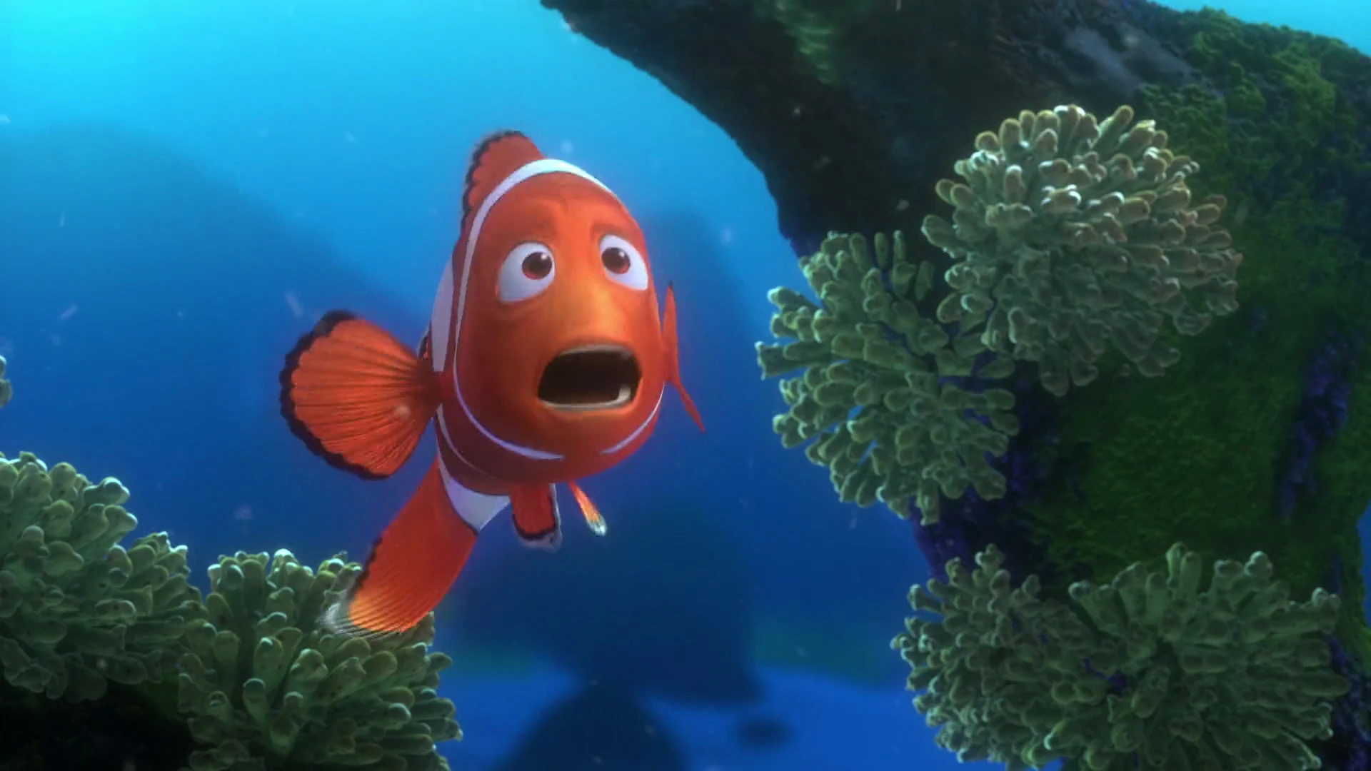 Image - Finding-nemo-disneyscreencaps.com-4997.jpg | Disney Wiki ...
