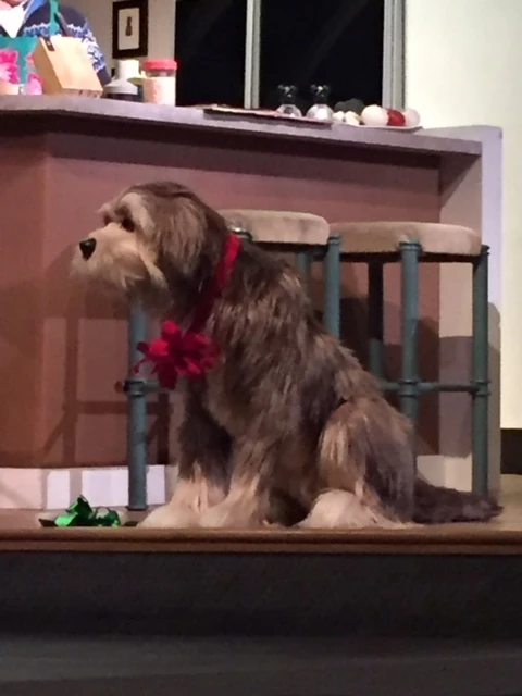 Rover (Carousel of Progress) | Disney Wiki | Fandom