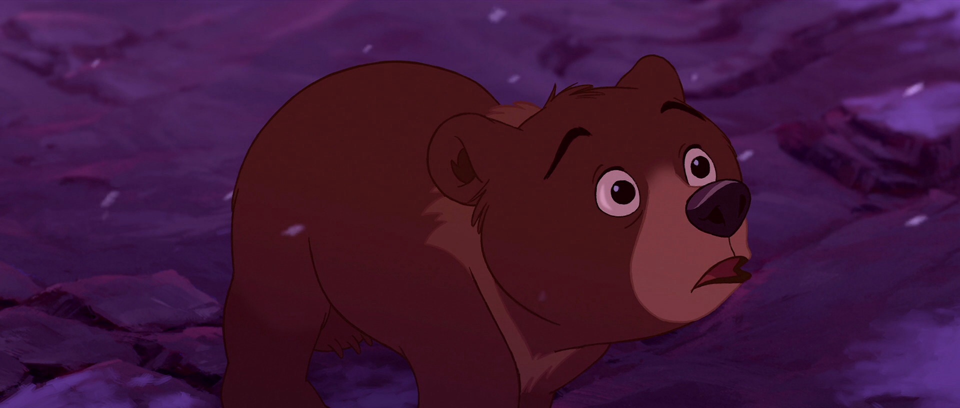 Image Koda Cry Disney Wiki Fandom Powered By Wikia