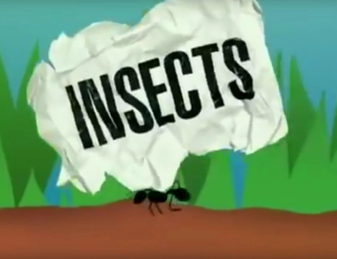 Insects | Disney Wiki | Fandom