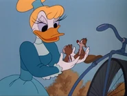 Crazy Over Daisy | Disney Wiki | FANDOM powered by Wikia