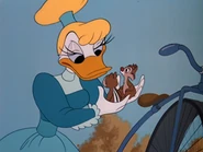 Crazy Over Daisy | Disney Wiki | FANDOM powered by Wikia