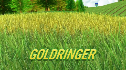 Goldringer | Disney Wiki | FANDOM powered by Wikia