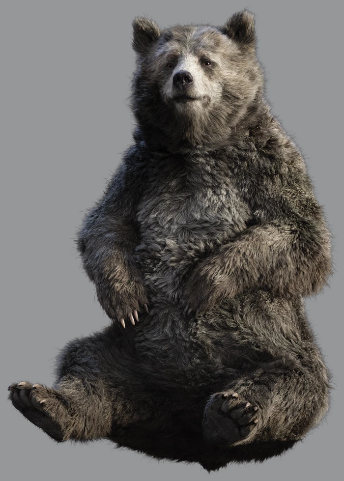 Image - Baloo 1.jpg | Disney Wiki | FANDOM powered by Wikia