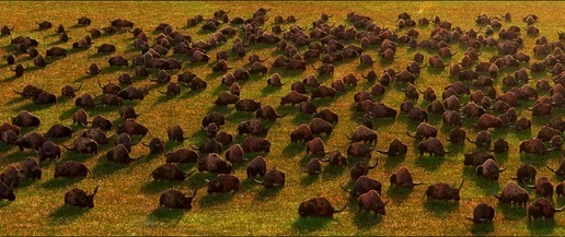 Longhorn Bison | Disney Wiki | Fandom