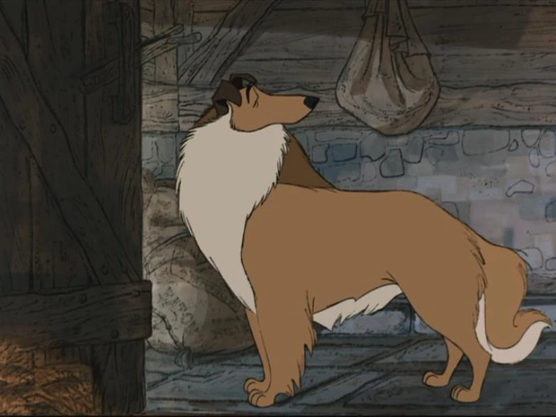 Collie | Disney Wiki | FANDOM powered by Wikia