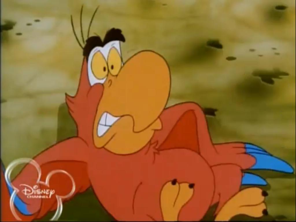 Image - Iago.jpg | Disney Wiki | FANDOM powered by Wikia