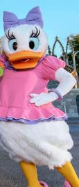 Donald and Daisy Costumes Through the Years | Disney Wiki | FANDOM ...