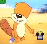Munchy Beaver | Disney Wiki | Fandom