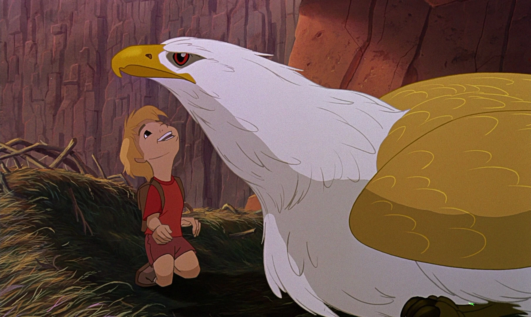Image - Rescuers-down-under-disneyscreencaps com-939.jpg | Disney Wiki ...