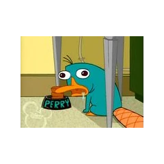 Perry the Platypus/Gallery | Disney Channel Wiki | Fandom