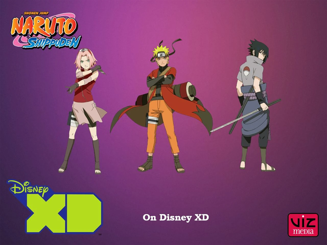 Image - Naruto Shippuden only on disney xd.JPG | Disney Channel Wiki ...