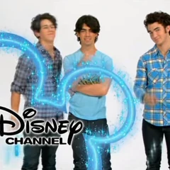 Wand IDs | Disney Channel Wiki | Fandom