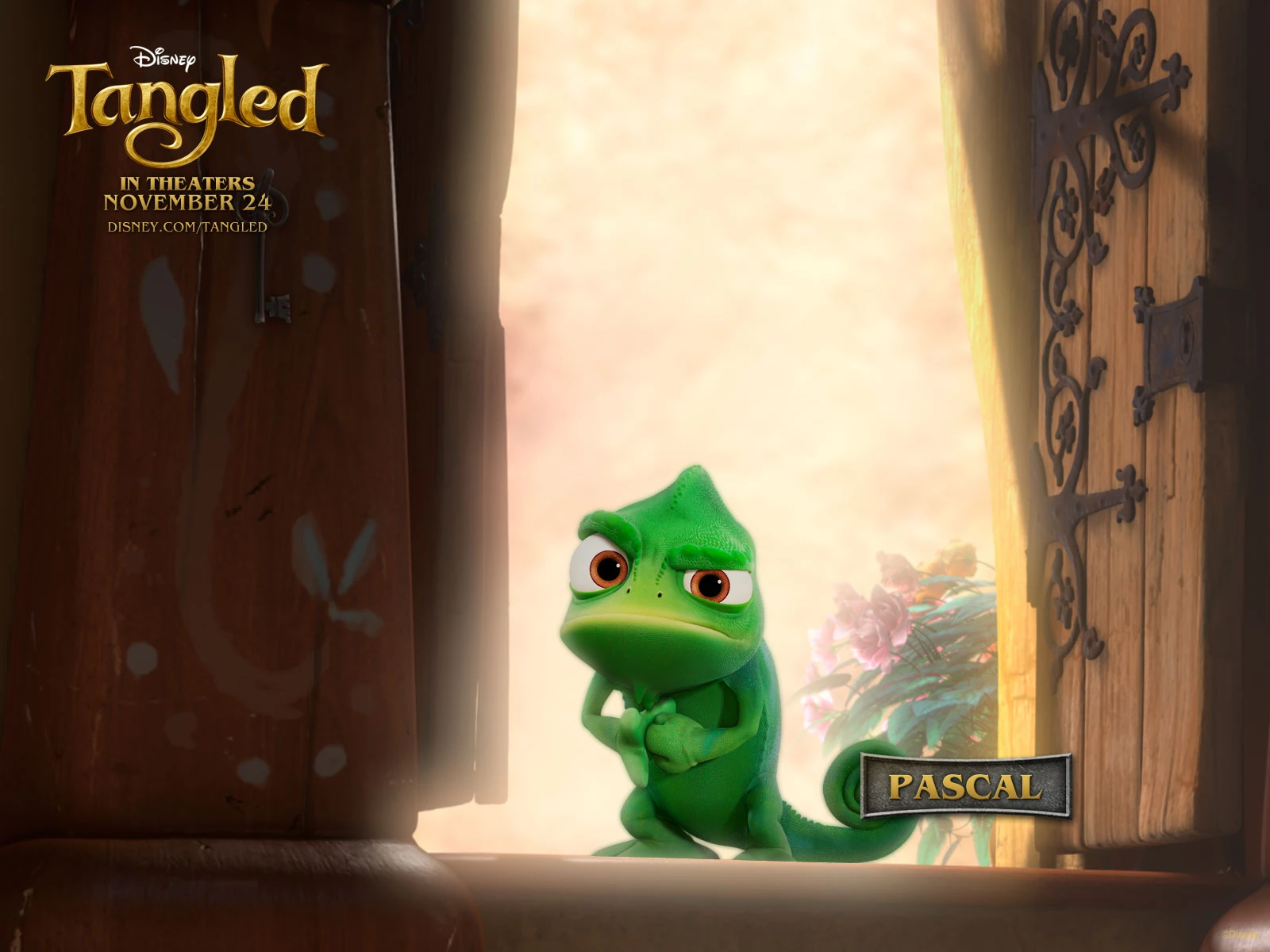 Pascal | Disney classicos show Wiki | FANDOM powered by Wikia