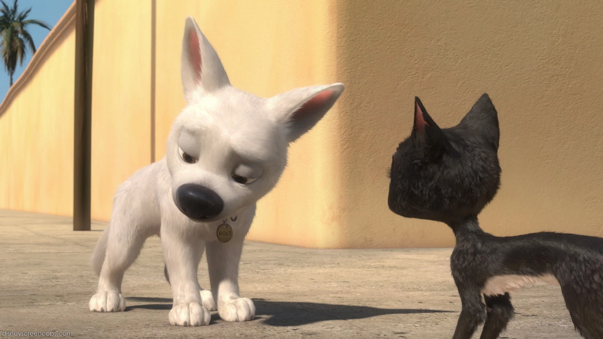 Image - Bolt-disneys-bolt-35106463-1920-1080.jpg | Disney Fanon Wiki ...