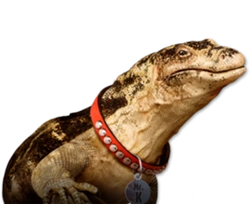 Mrs. Kipling | Jessie Fanon Wiki | FANDOM powered by Wikia