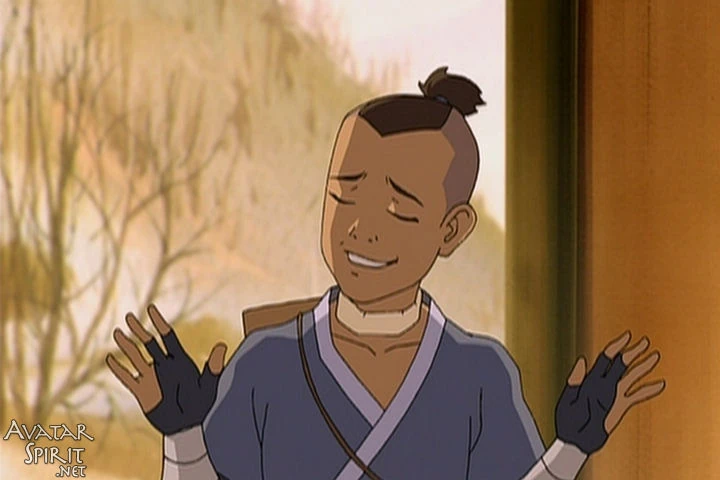 Sokka | They're_All_Real Wiki | FANDOM powered by Wikia