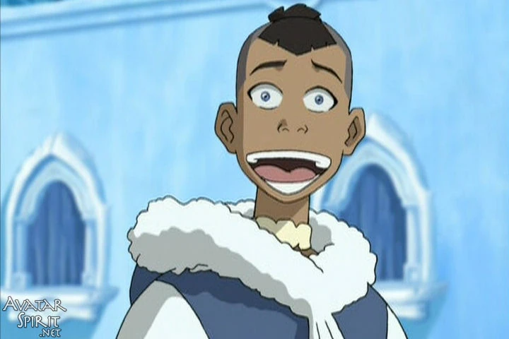 Image - Sokka- excited.jpg | They're_All_Real Wiki | FANDOM powered by ...