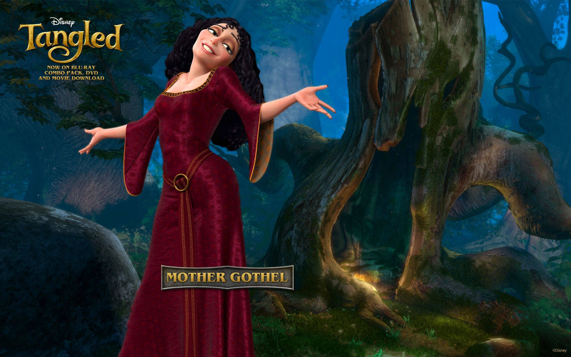 Mother Gothel | Disney Princess Wiki | FANDOM powered by Wikia