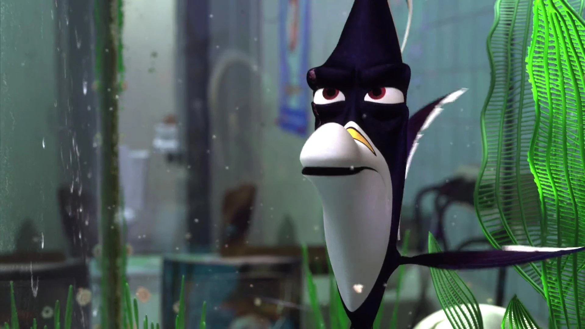 Gill | Disney's Sebastian & Dory Wiki | FANDOM powered by Wikia