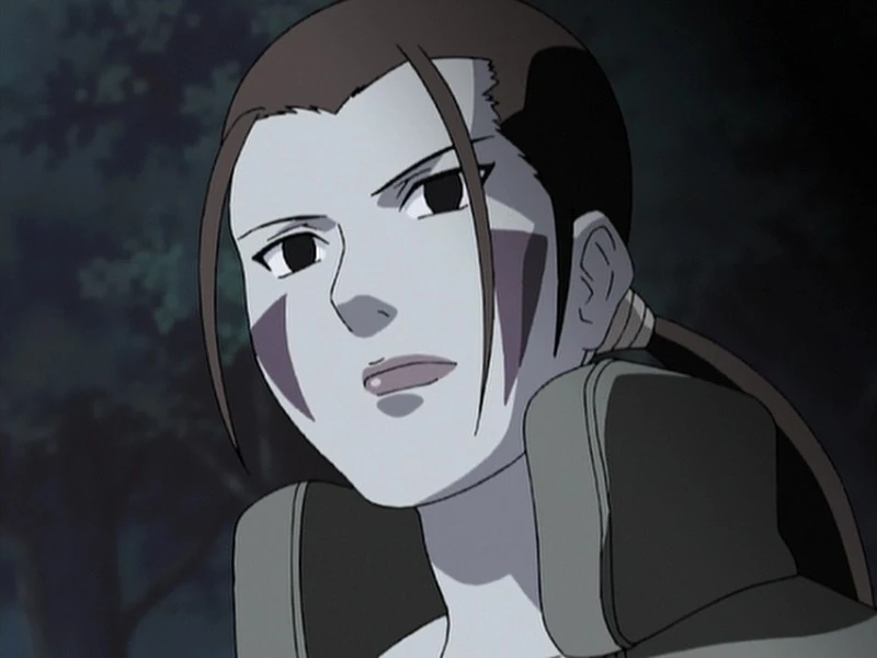 Inuzuka Hana | Japanese Anime Wiki | Fandom