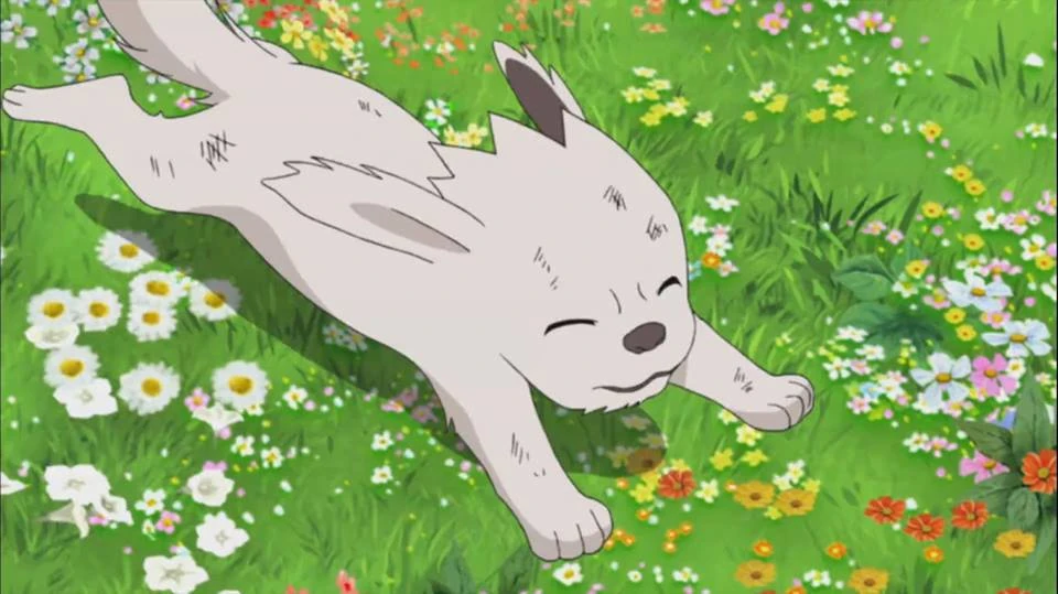Akamaru | Japanese Anime Wiki | FANDOM powered by Wikia