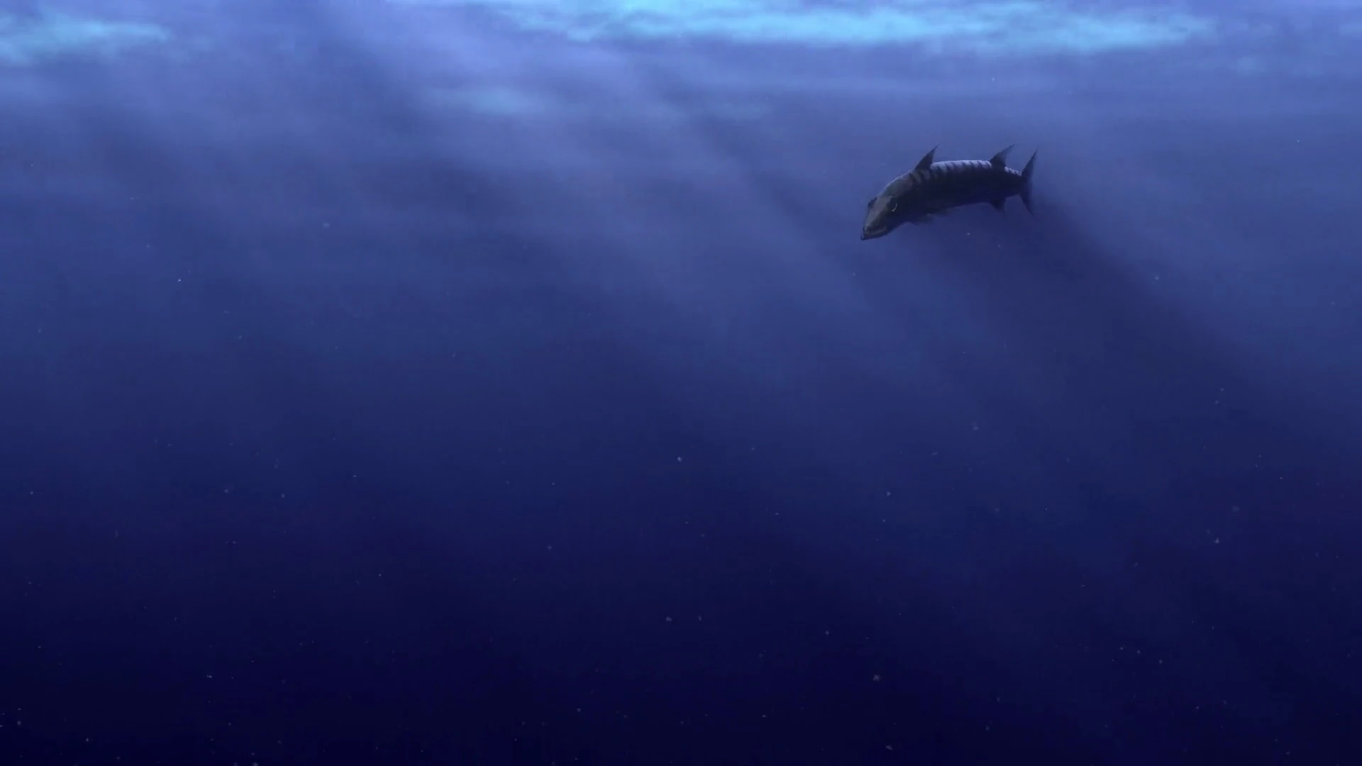 Image - Finding-nemo-disneyscreencaps com-254.jpg | Wickedpedia ...