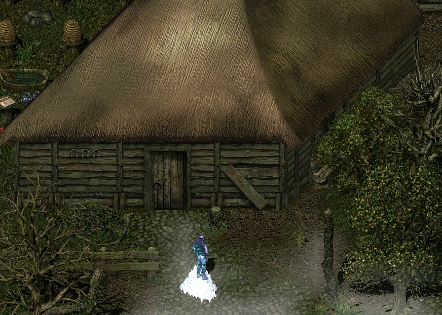 Rescue Lanilor the Elf from his icy prison | Divinity Wiki | Fandom