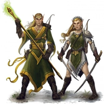High Elf | DMC D&D Wikia | FANDOM powered by Wikia