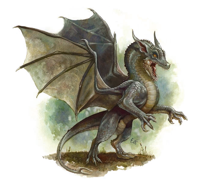 Gray Dragon | Awoken Heroes Wiki | FANDOM powered by Wikia