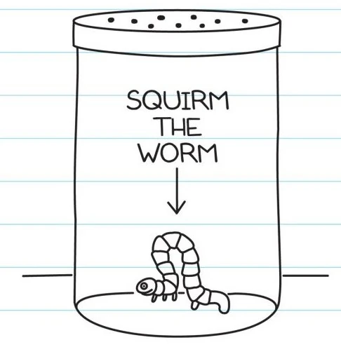 Squirm the Worm | Diary of a Wimpy Kid Wiki | FANDOM powered by Wikia
