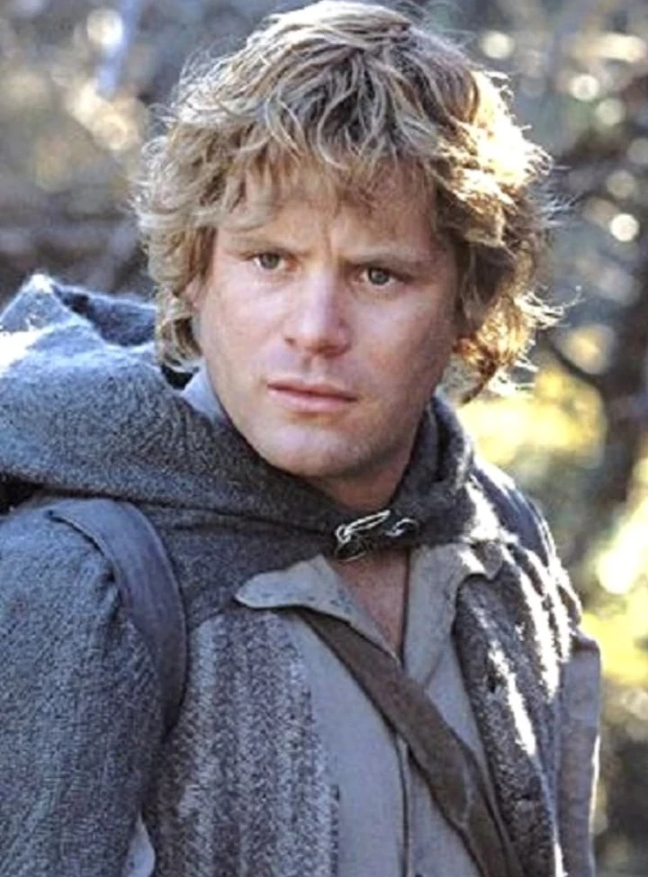 Samsagaz Gamyi | Doblaje Wiki | FANDOM powered by Wikia