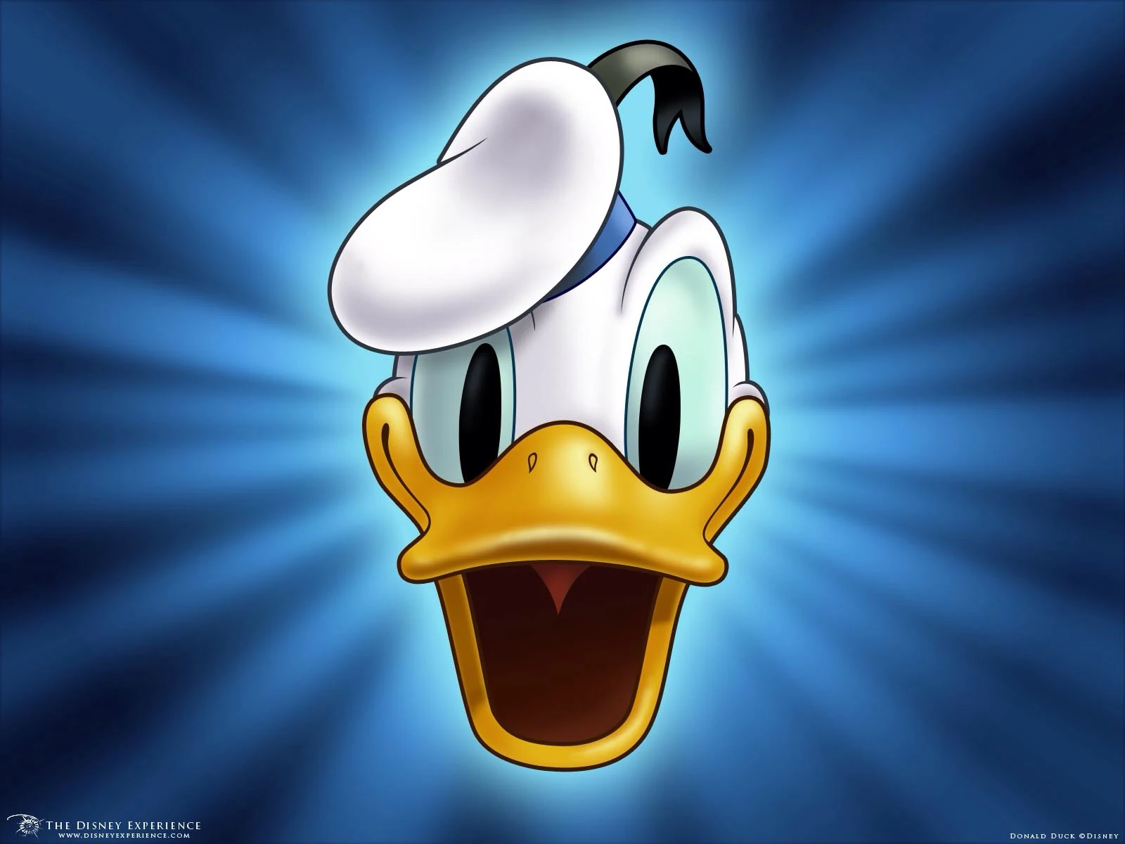 Anexo:Cortometrajes del Pato Donald | Doblaje Wiki | Fandom