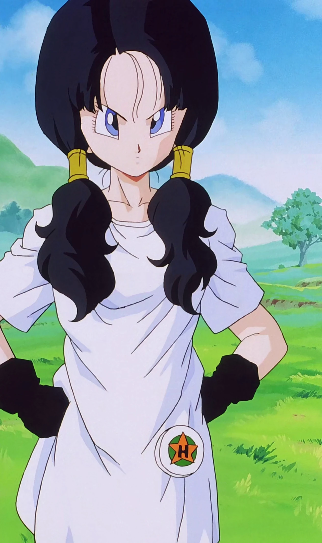 Videl Doblaje Wiki Fandom