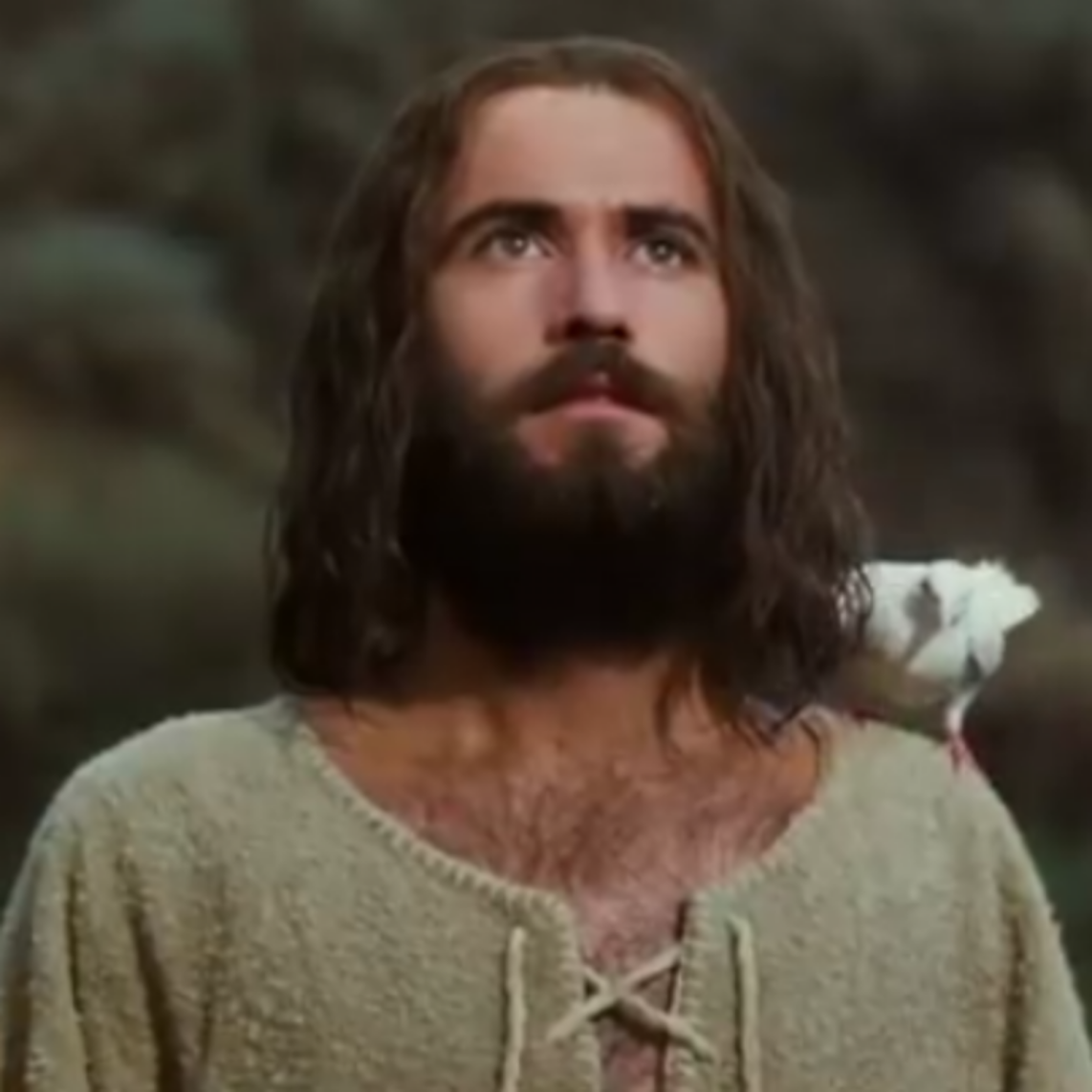 La Vida Pública De Jesús Doblaje Wiki Fandom Powered By Wikia