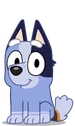 Bluey | Doblaje Wiki | Fandom