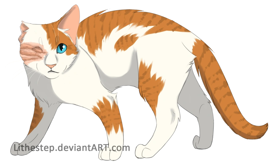 Brightheart | Doctorwhowarriorcats Wikia | FANDOM powered by Wikia