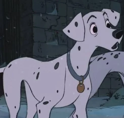 Perdita | Dog Stories Wikia | FANDOM powered by Wikia
