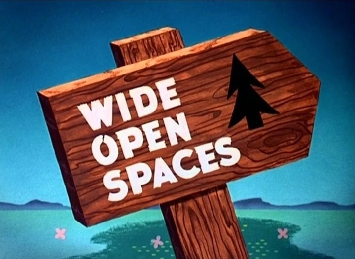 Wide Open Spaces | Donald Duck Wiki | Fandom