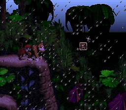 Ropey Rampage | Donkey Kong Wiki | Fandom