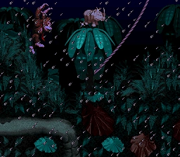 Ropey Rampage | Donkey Kong Wiki | Fandom