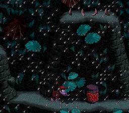 Ropey Rampage | Donkey Kong Wiki | Fandom