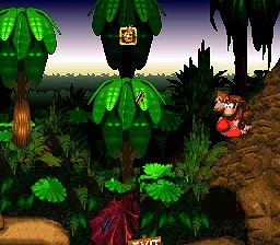 Ropey Rampage | Donkey Kong Wiki | Fandom