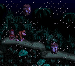 Ropey Rampage | Donkey Kong Wiki | Fandom