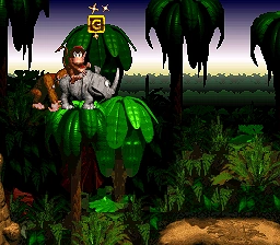 Jungle Hijinxs (Donkey Kong Country) | Donkey Kong Wiki | Fandom