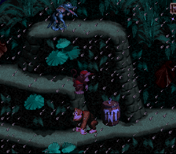 Kongo Jungle | Donkey Kong Wiki | Fandom