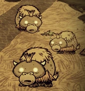 Beefalo | Don't Starve game Wiki | Fandom