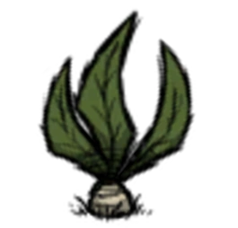 Mandrake | Don't StarveTH Wiki | Fandom